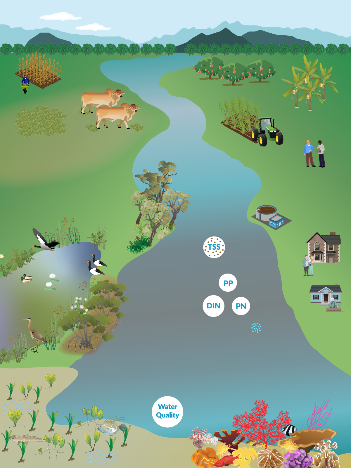 Reef Water Quality Report Card | Reef 2050 Water Quality Improvement Plan